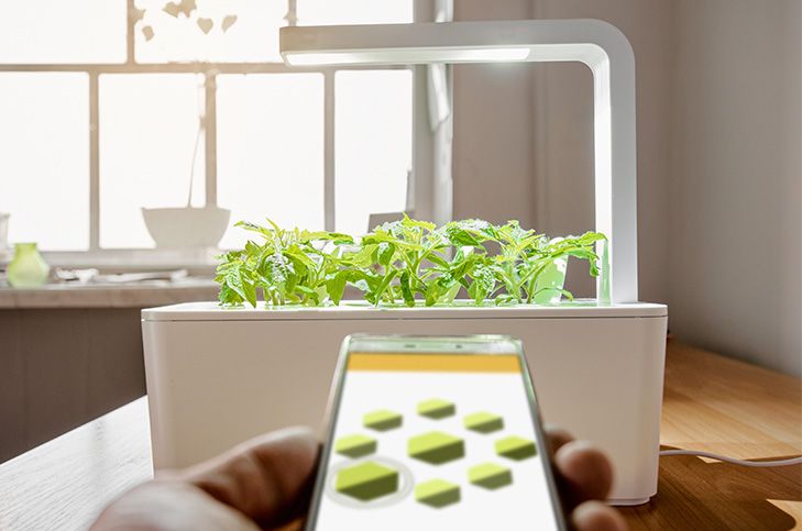 myPima health portal